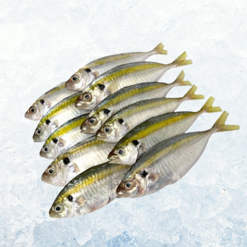 Blue Ocean Yellow Stripe Trevally/Kuning Fish 1KG - Frozen – PickMe