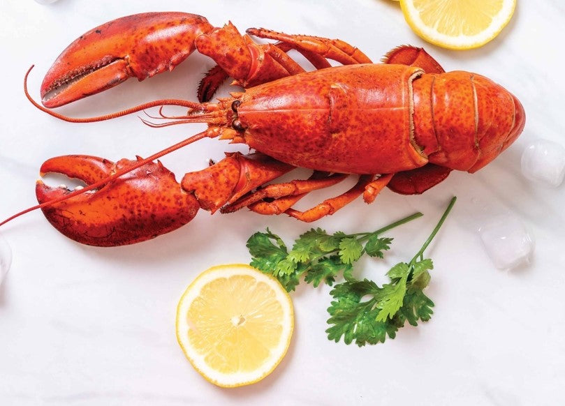 Mermaid Premium Cooked Whole Boston Lobster 350G - Frozen – PickMe
